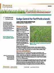 Turfgrass Management: Sedge Control for Turf Professionals | Purdue ...