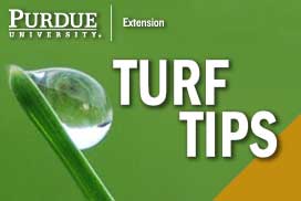 Turf 101: Optimum mowing heights for turf | Purdue University Turfgrass ...