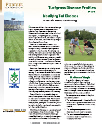 Turfgrass Disease Profiles: Turf Disease Identification | Purdue ...