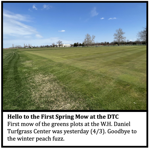 Disease Report #1: Signs of Spring Abound | Purdue University Turfgrass ...